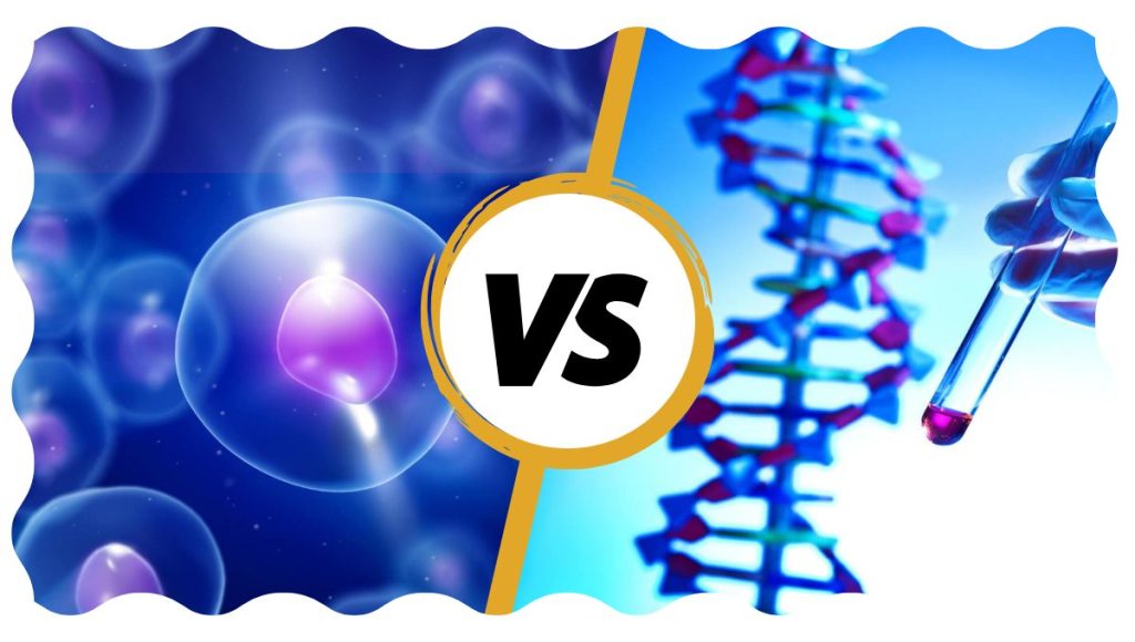 Stem Cell Therapy Vs. Gene Therapy - Key Comparisons Stem Cell Therapy Vs. Gene Therapy - Key Comparisons